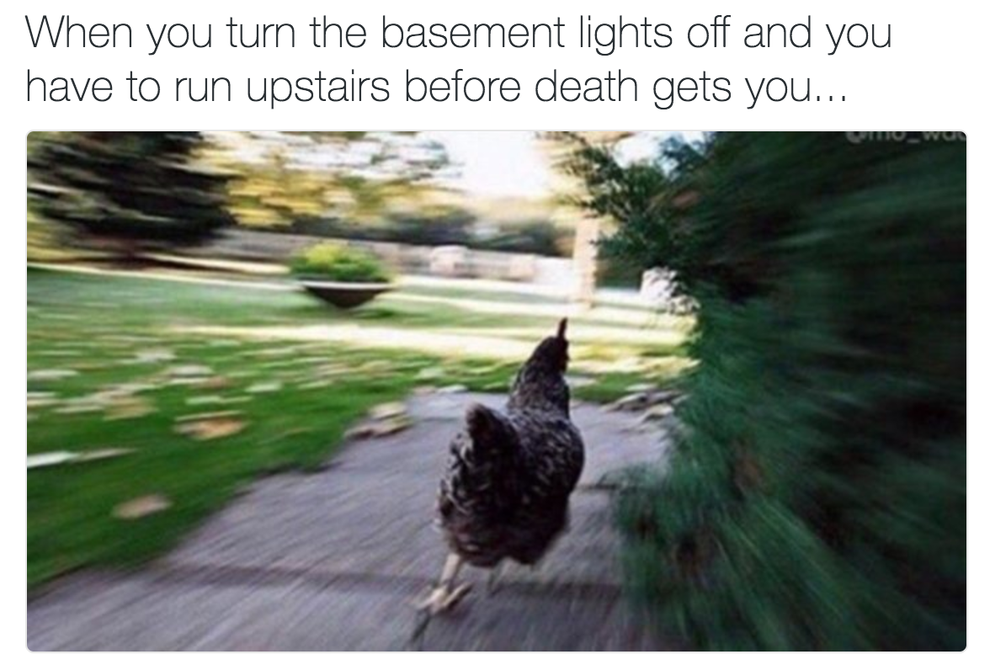 27 Pictures That Will Make You Say "I Feel Personally Attacked"