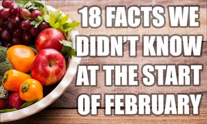Here Are 18 Facts We Didn't Know At The Start Of February