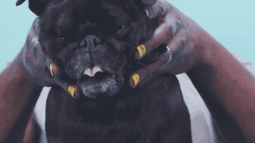 11 Happy Little Things To Make You Smile This Week