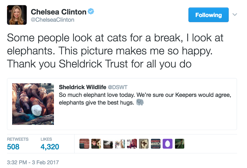 Chelsea Clinton Has Been Dragging Trump On Twitter And It's Pretty Funny