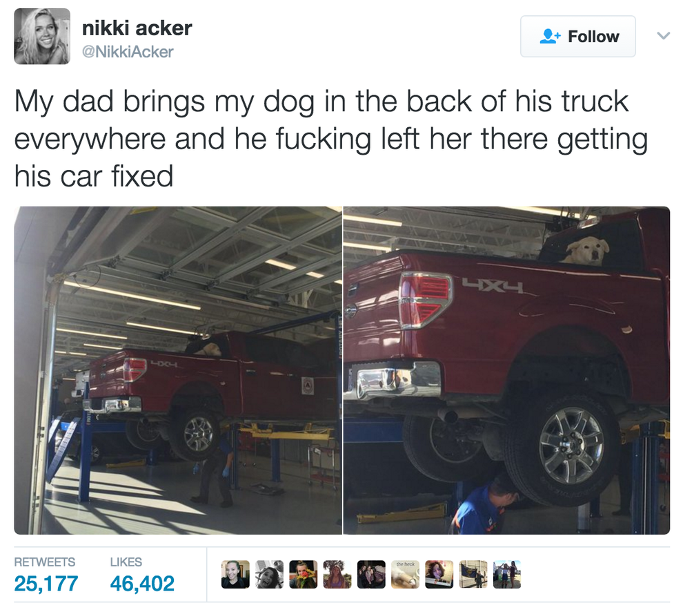 27 Hilarious Photos That Will Make You Shout, "I LOVE DOGS, I LOVE THEM ...