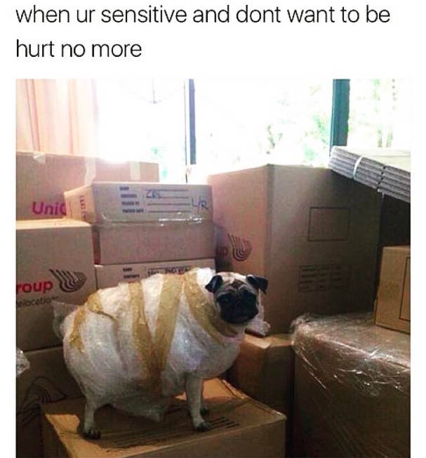 Overly Sensitive People Meme