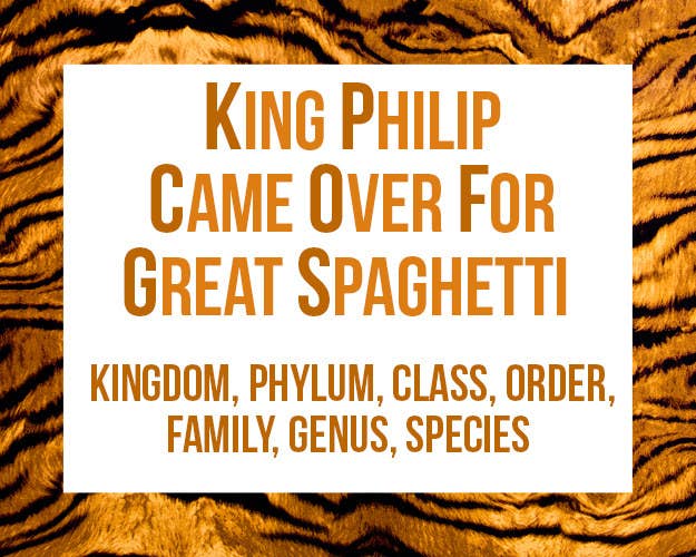 21 Mnemonic Devices That Will Help You Remember Almost Mnemonic: