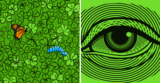 You'll Go Nuts Trying To Find The Hidden Four-Leaf Clover In This Photo