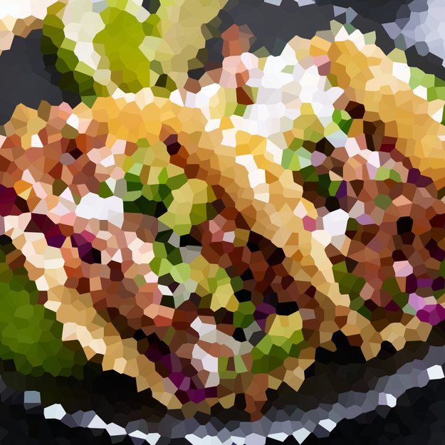 Only A Food Genius Can Figure Out What These Distorted Foods Are
