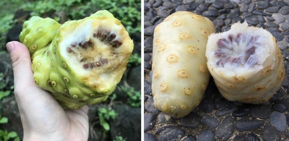 21 Bizarre-Looking Foods That’ll Make Picky Eaters Squirm
