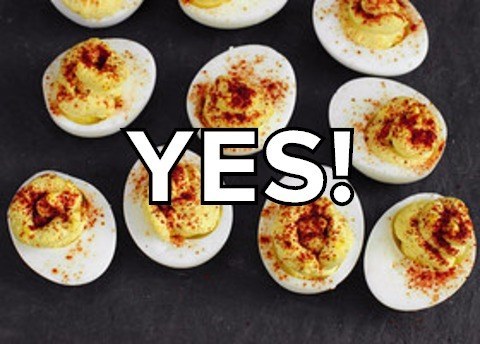 Are Your Egg Opinions Legit?