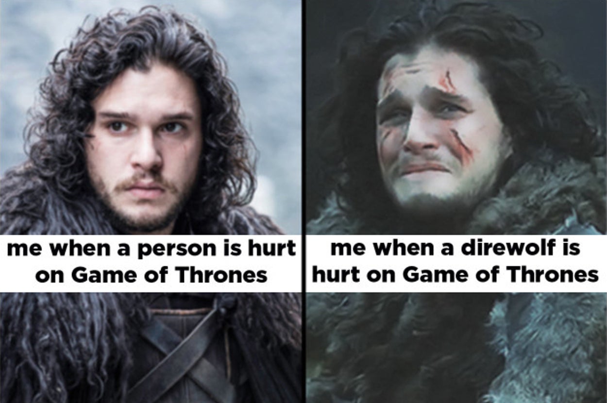 Literally 100 Really Funny "Game Of Thrones" Memes