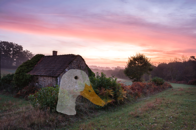 Can You Spot All 8 Animal Ghosts In These Scenes?