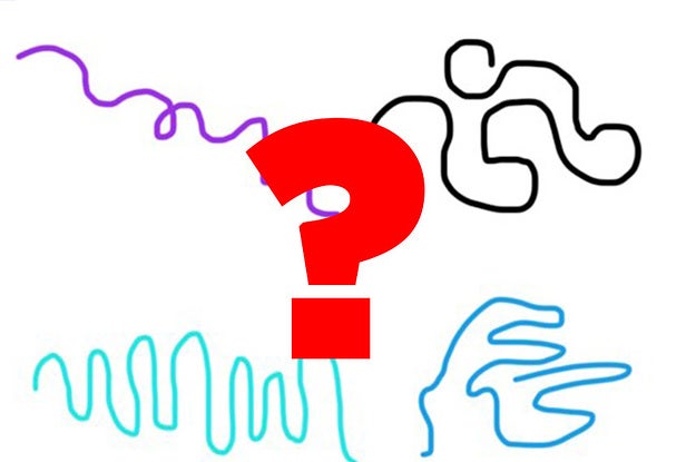 Choose Some Squiggles And I'll Tell You What Everybody Loves About You