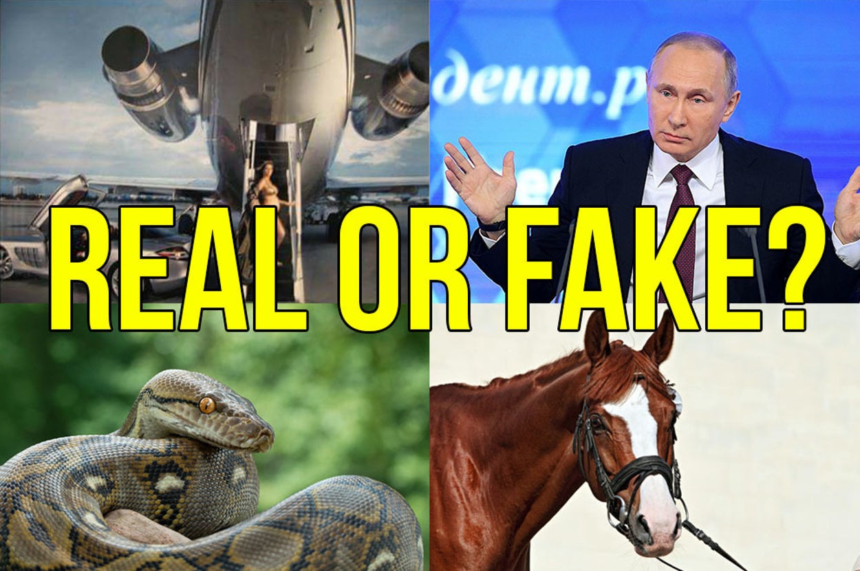 If You Get 7/7 On This Quiz, You're A Fake News Fighting Superhero