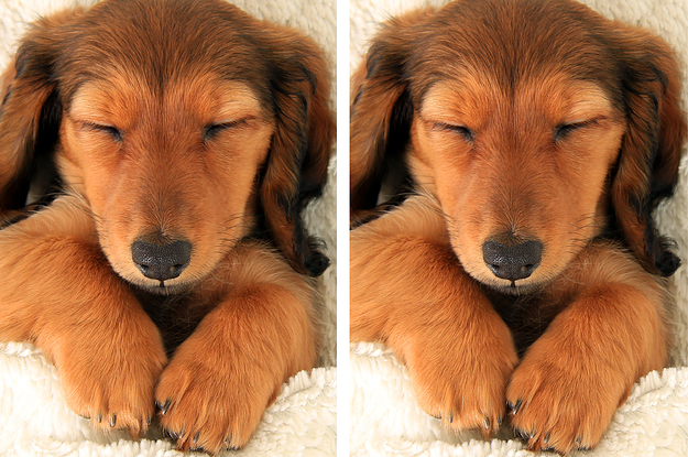 How Well Do You Notice Little Details?