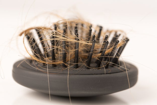 If You Suffer From Chaetophobia, You Won't Be Able To Make It Through ...