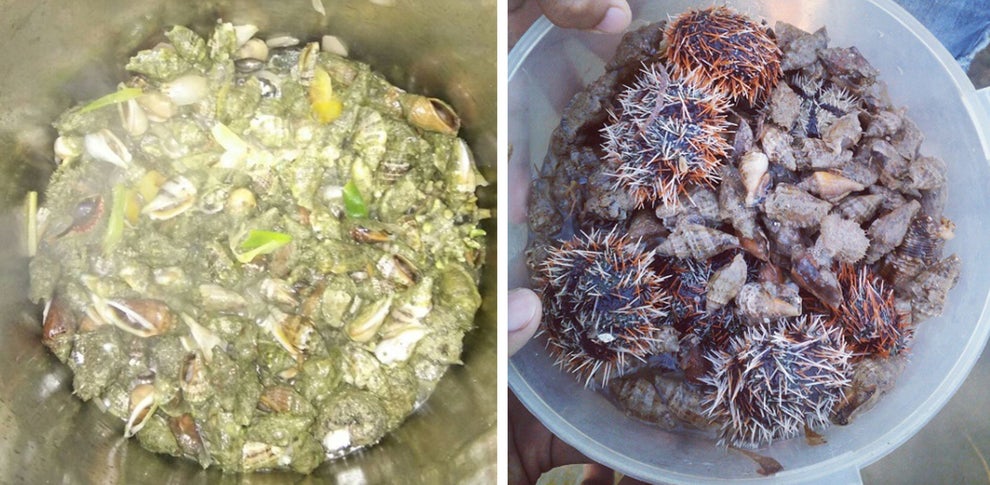 21 Bizarre-Looking Foods That’ll Make Picky Eaters Squirm