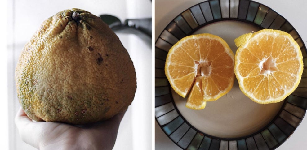 21 Bizarre-Looking Foods That’ll Make Picky Eaters Squirm