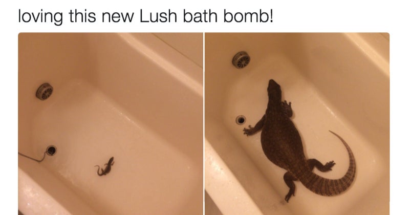 21 Hilarious Tweets About Lush That Are Strangely Relatable