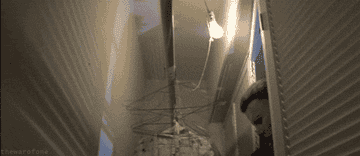 26 Infuriating Things That Happen In All Horror Movies