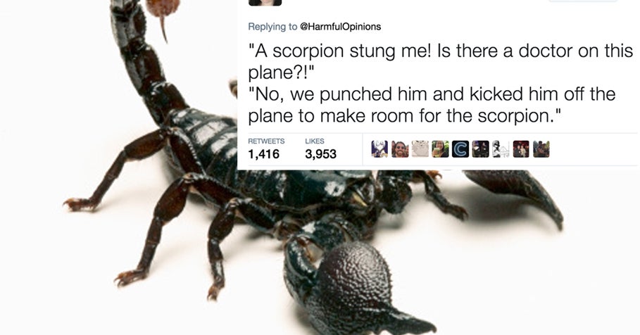 A Creature That "Appeared To Be A Scorpion" Fell Onto A United ...
