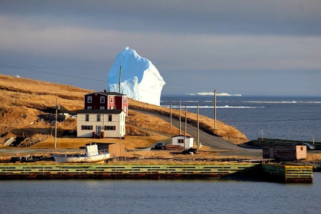 People Are Flocking To See This Massive Iceberg Off The Coast Of ...