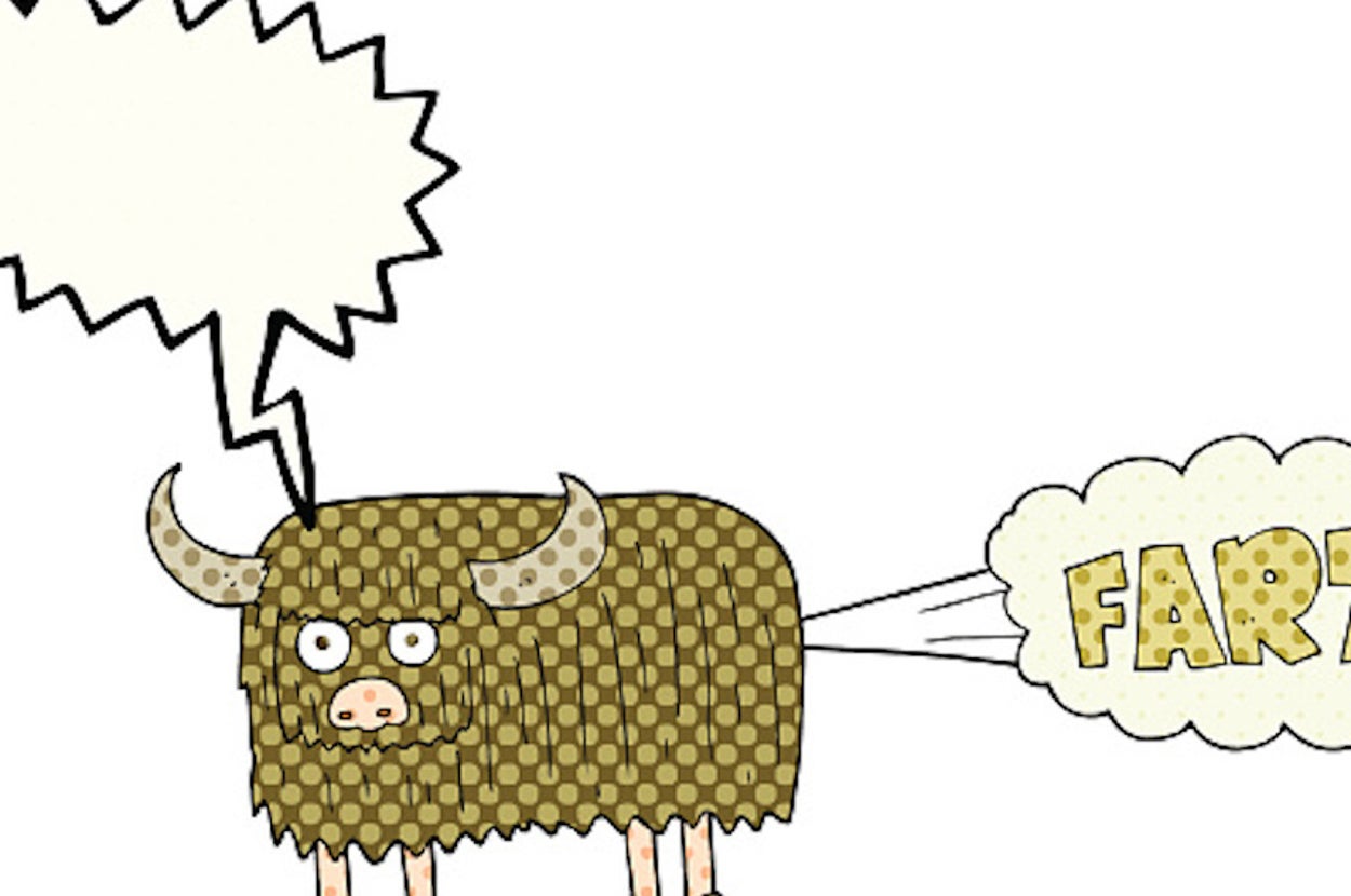 10 Videos Of Animals Farting, Because Fuck It, Why The Heck Not