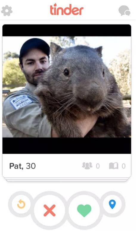 patrick le wombat