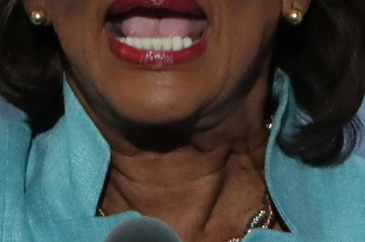 How “Auntie Maxine” Became A Meme — And The Hero Of The Anti-Trump Internet