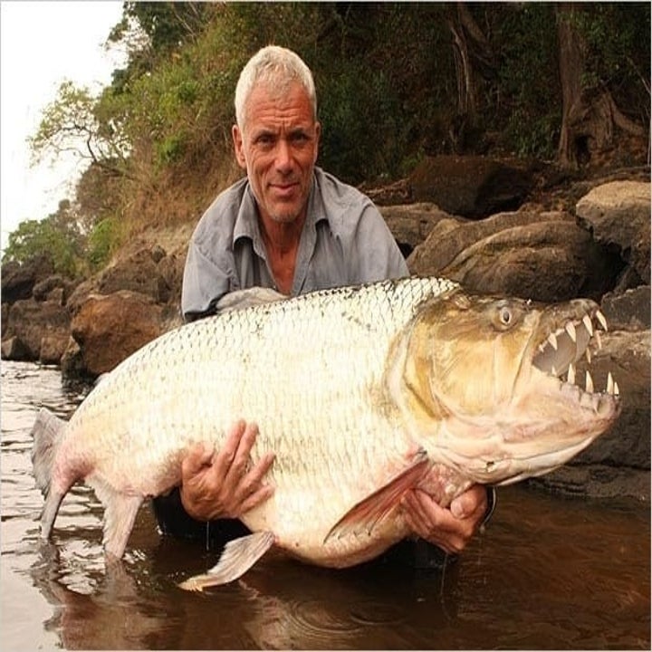 19 Unbelievable Fish Jeremy Wade Caught On "River Monsters"