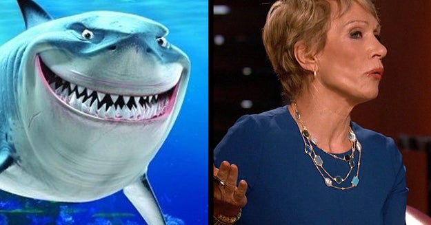 Answer These Five Questions And We’ll Reveal Your Favorite Shark From ...