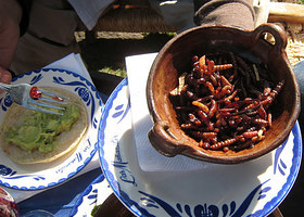 Bienvenido al test de comida más difícil del mundo