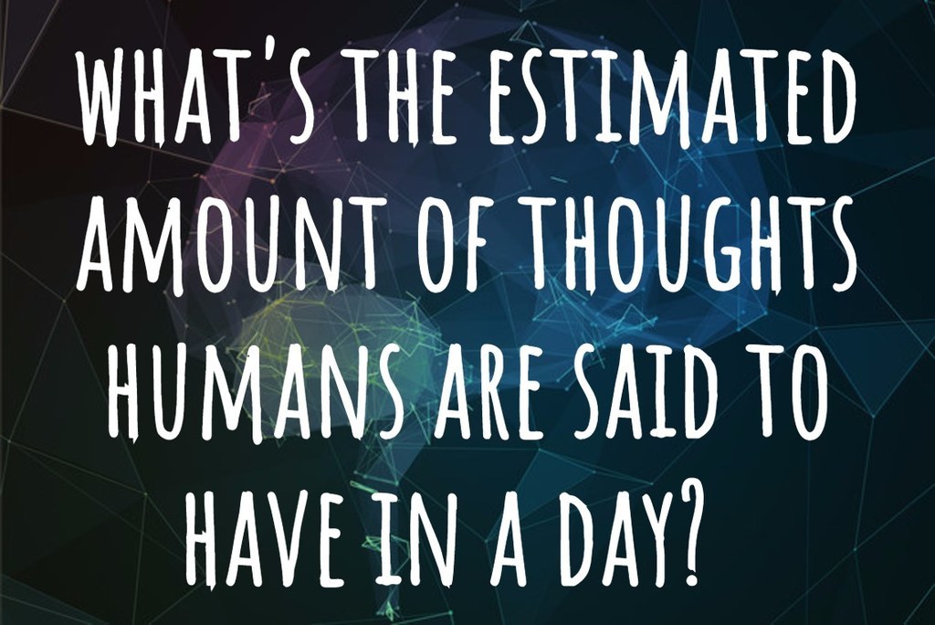 If You Get 7/11 Of These Questions Right, You Should Probably Become A ...