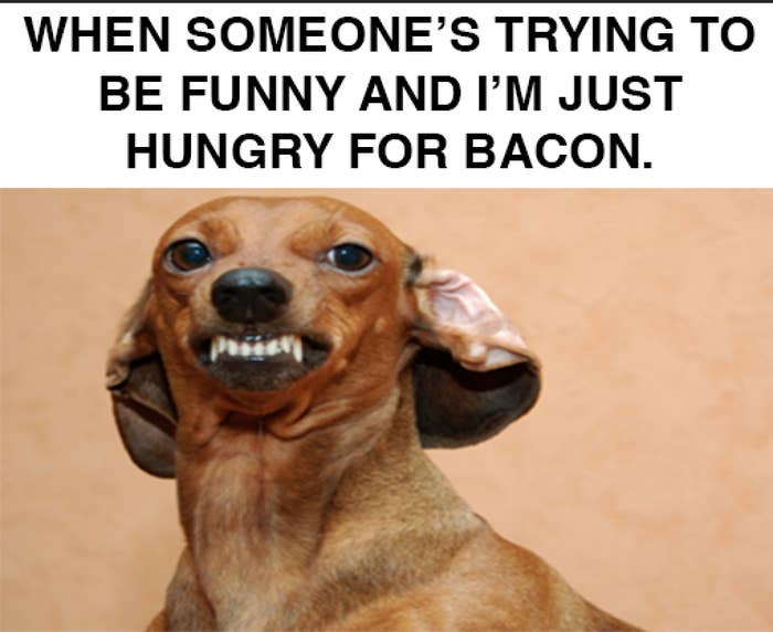 16 Memes That Only Make Sense If You're Obsessed With Bacon