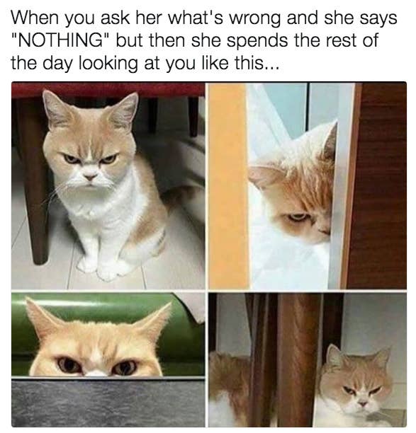 17 Memes Youll Relate To If Youre Not A Chill Girl At All