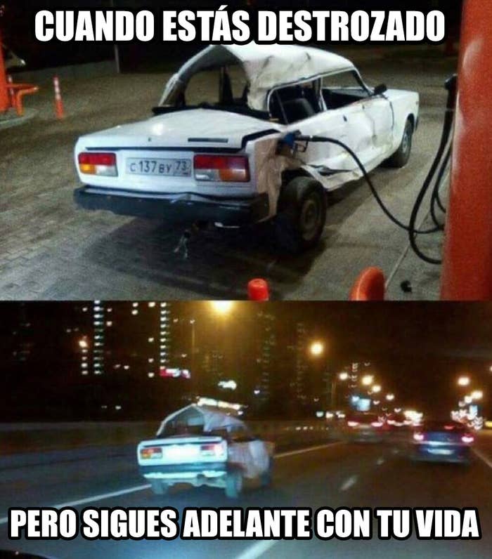 16 Memes que te sumergirán en una profunda crisis existencial