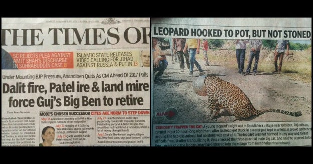 15 "Times Of India" Headline Puns That'll Make You Applaud, But Also ...
