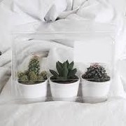 Tell Us Your Aesthetic Choices And We'll Reveal Which Female "The ...