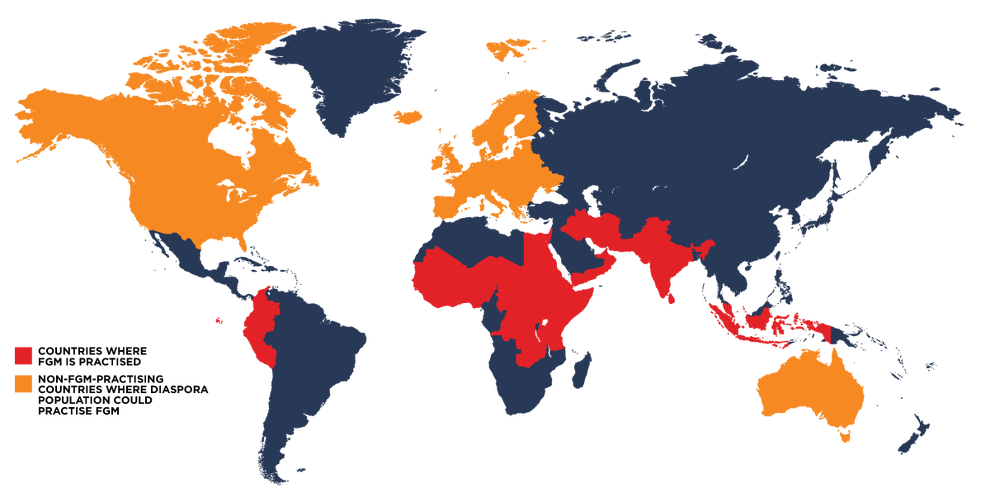 Here’s What You Need To Know About The Global Fight To End Female ...