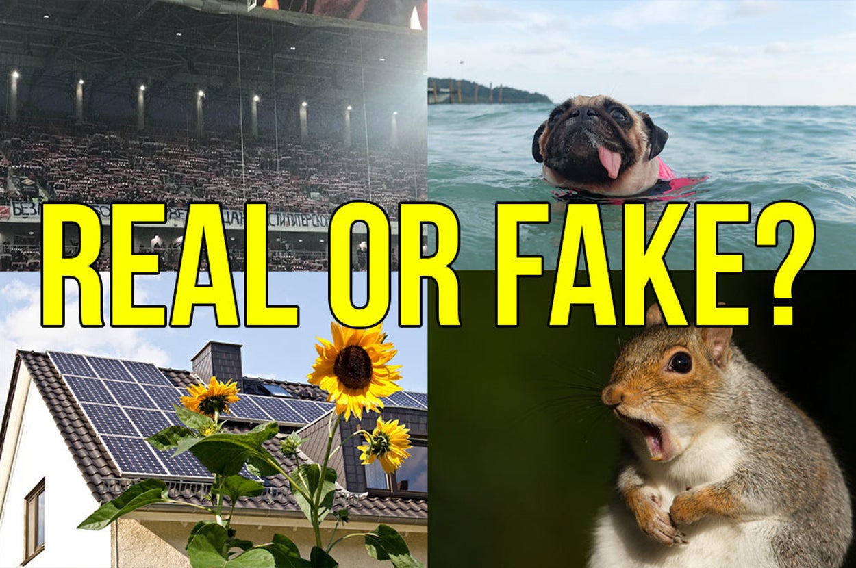 Take This Quiz And We'll Tell You How Good You Are At Spotting Fake News