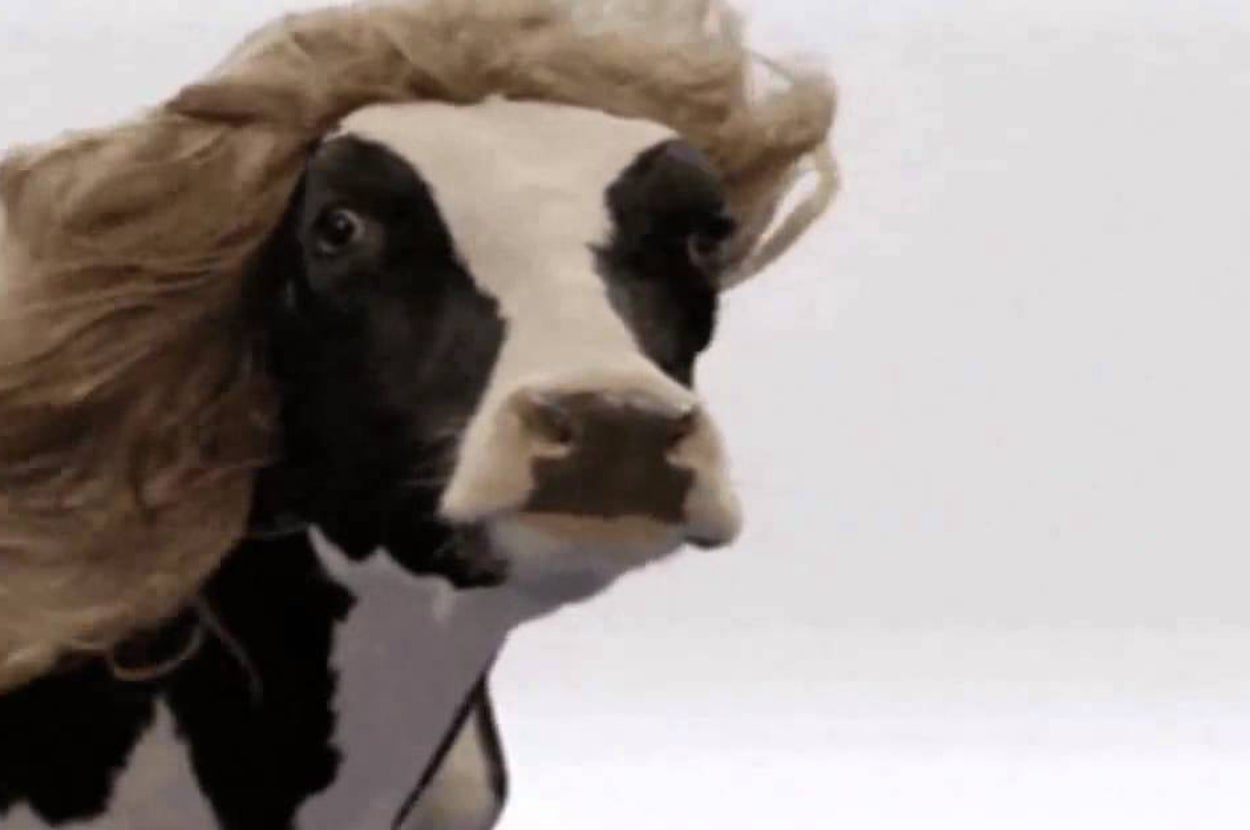 Build A Farm And We'll Tell You Which Cow You Are