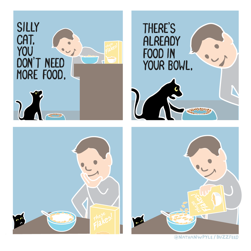 27 Comics About Cats That Are Too Real