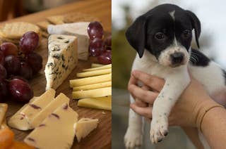 Maddi Lewis (mlew15) on BuzzFeed