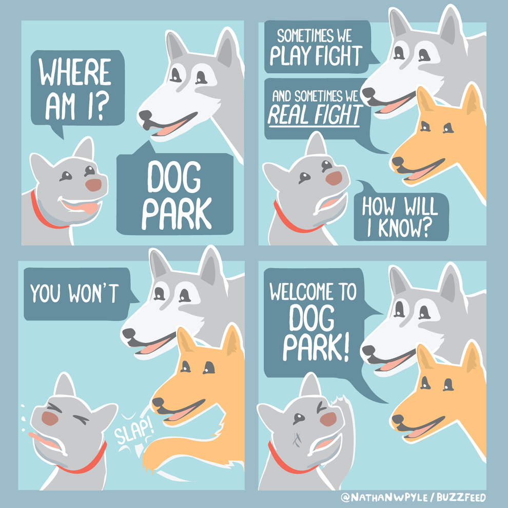 20 Painfully Accurate Comics About Spring