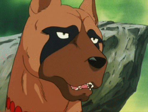 Do You Remember The Names Of The Dogs From "Silver Fang"