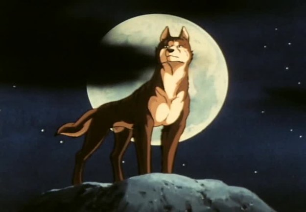 Do You Remember The Names Of All 10 Of These Dogs From "Silver Fang"?