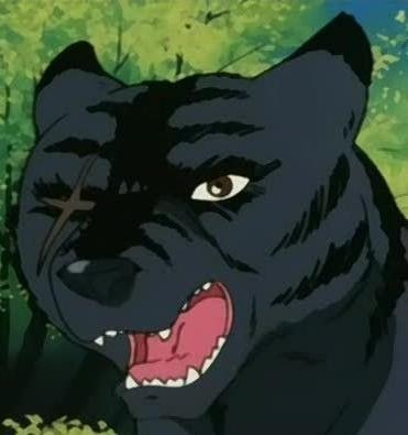 Do You Remember The Names Of All 10 Of These Dogs From "Silver Fang"?
