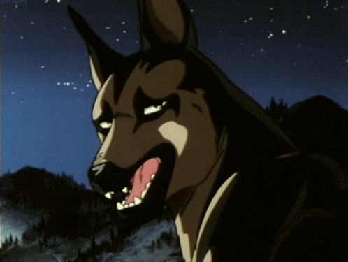 Do You Remember The Names Of The Dogs From "Silver Fang"