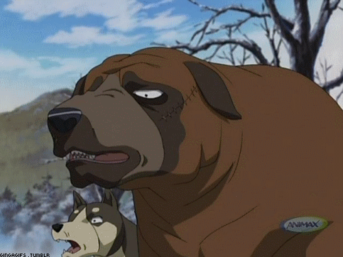 Do You Remember The Names Of The Dogs From "Silver Fang"