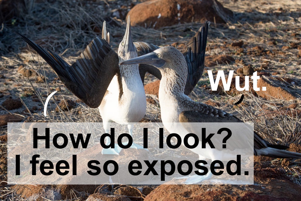 8 Sweaty Summer Boobies That Are Too Damn Sticky