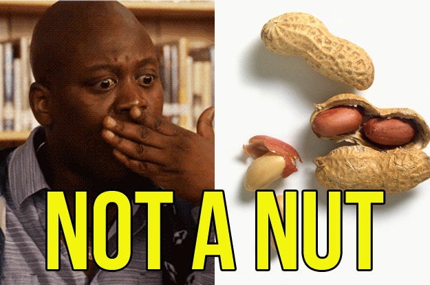 What If I Told You That Peanuts Aren't Nuts At All?