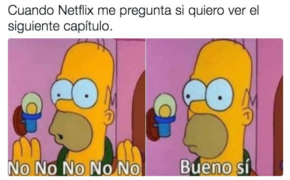 18 Memes de Netflix que te harán decir «pensé que yo era el único ...