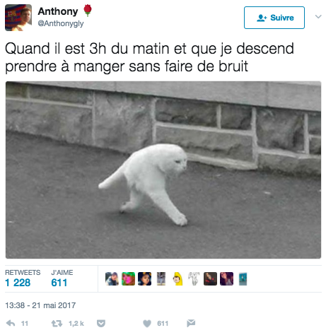 27 tweets qui vous feront rire même si vous avez passé une journée de ...